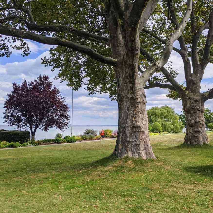 Rochester's Hidden Sidewalk - Day Trips Around Rochester, NY
