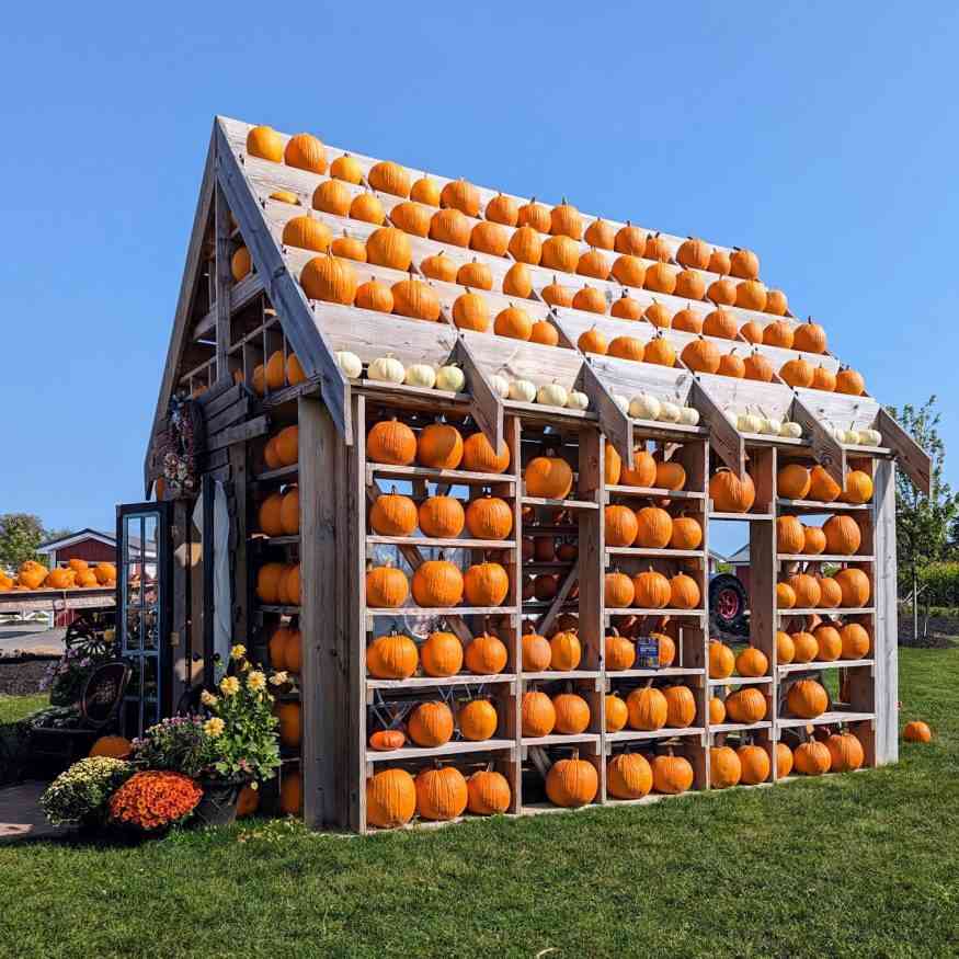 Top 10 Things To Do Around Rochester in October - Day Trips Around ...