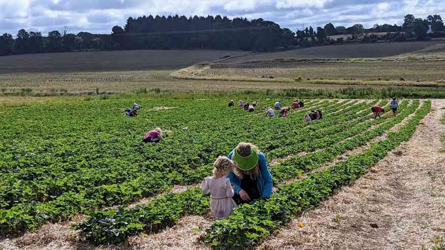 Farms & Farmers' Markets: Your Guide to Locally Grown Produce - Day ...